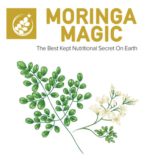 Moringa a Wealth of Nutritional Value for Your Body - Moringa Magic ...